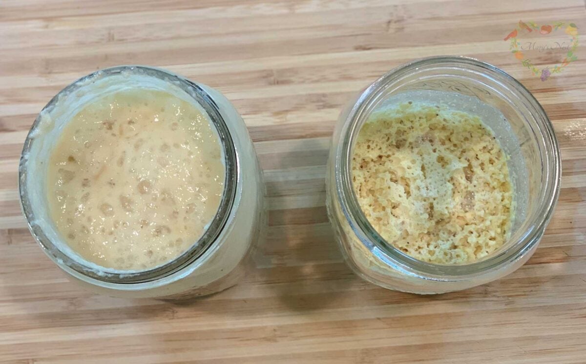 Salt Rising Bread Recipe - Step by Step Tutorial - Mary's Nest