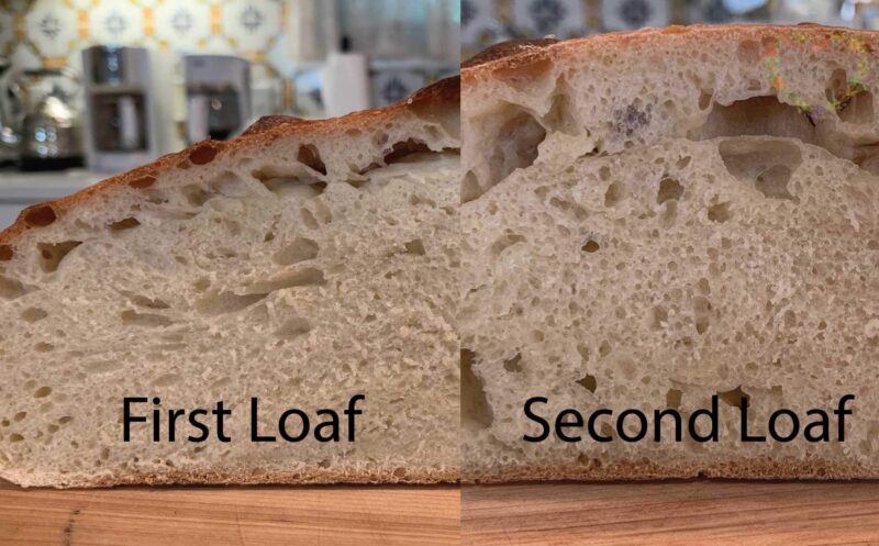 The Busy Mother's Sourdough Secret - Mary's Nest
