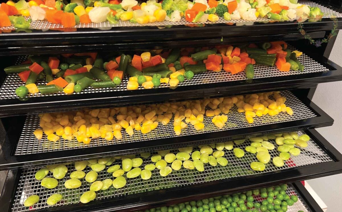 How to Dehydrate Vegetables the Easy Way - Mary's Nest