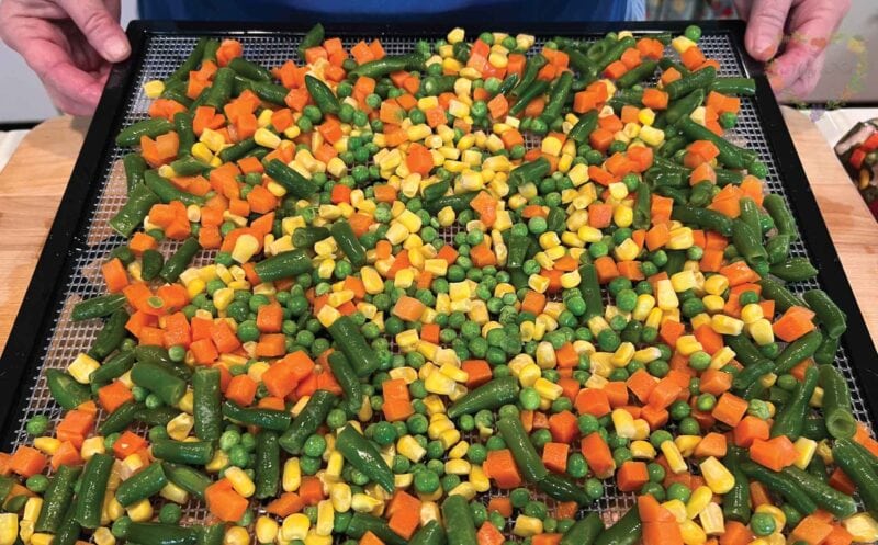 How to Dehydrate Vegetables the Easy Way - Mary's Nest