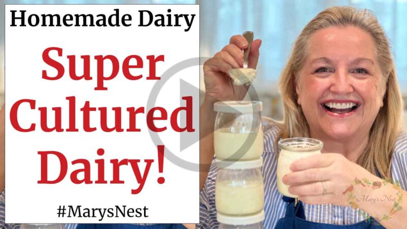 How to Make Super Cultured Dairy with L. Reuteri - Mary's Nest