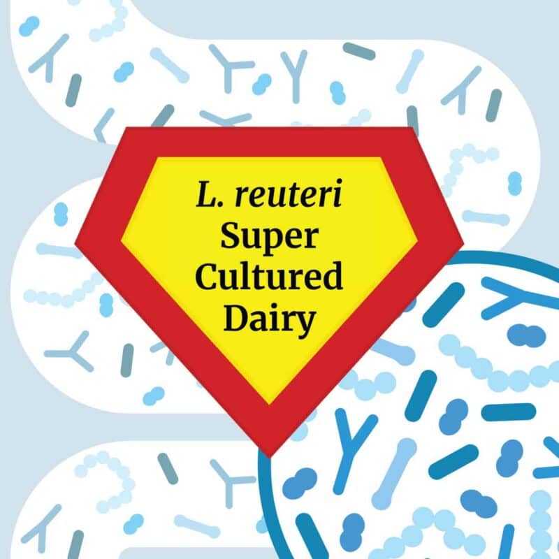 How to Make Super Cultured Dairy with L. reuteri in the Instant Pot ...
