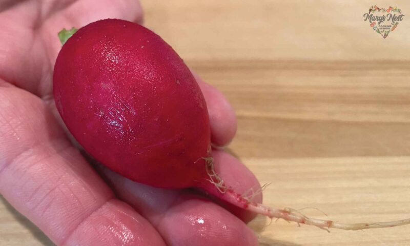 Plant These 7 Veggies Now for a Fall Harvest - Mary's Nest