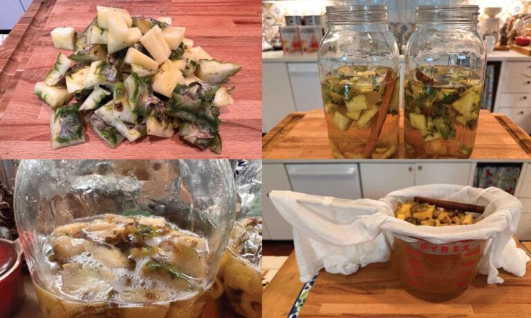 How to Make Tepache - An Anti-Inflammatory Fermented Pineapple Drink ...