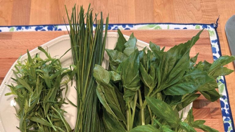 How to Make Fresh Green Herbal Oils - Mary's Nest