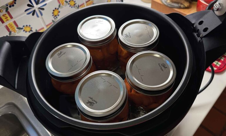 How to Use the Presto Precise Digital Pressure Canner - Mary's Nest